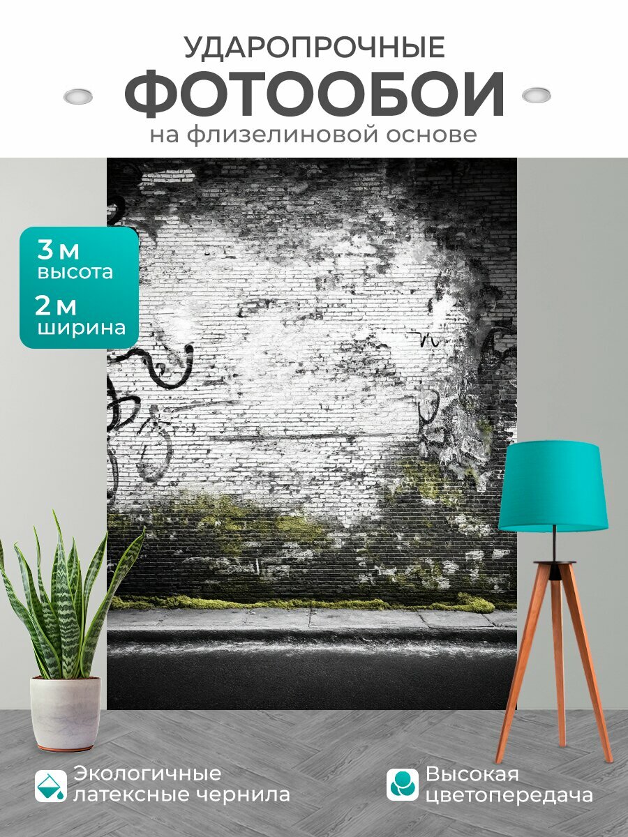 Фотообои моющиеся ударопрочные "Черно-белый, на которых изображены старые кирпичные стены, покрытые граффити и мхом. текстуры стен дают ощущение" 200x300 см. флизелиновые на стену