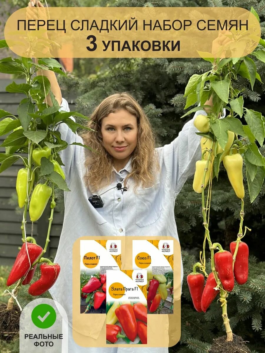 Семена перца Нетипичный фермер "Пилот, Злата Прага, Союз", для теплицы и открытого грунта