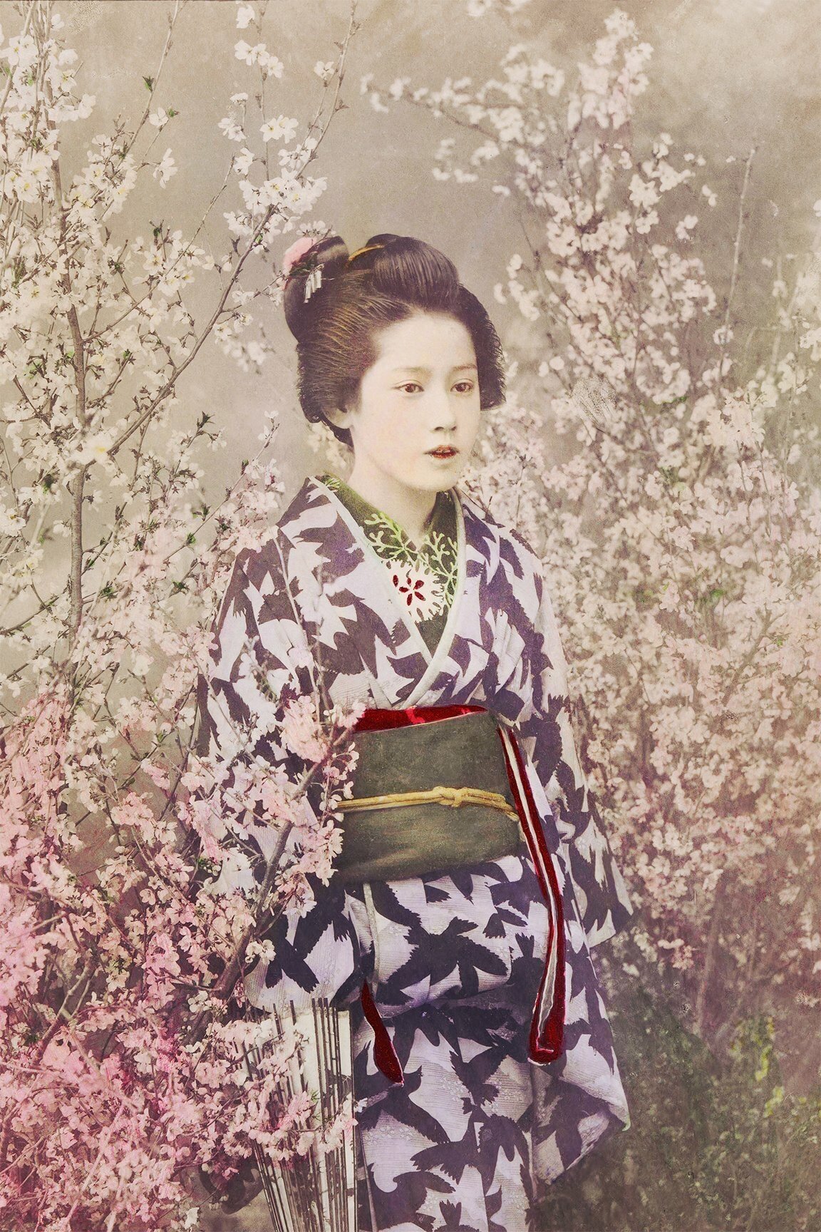 Постер / Плакат / Картина Гейша и вишни 40х50 см в раме