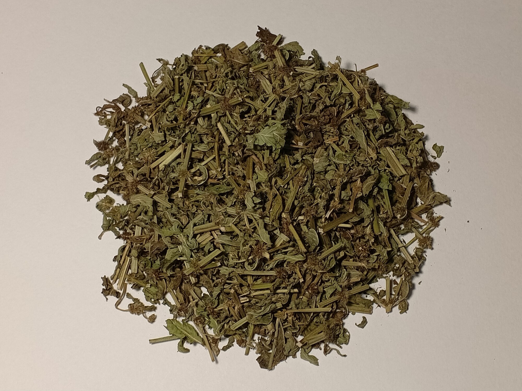 Зюзник европейский (трава)