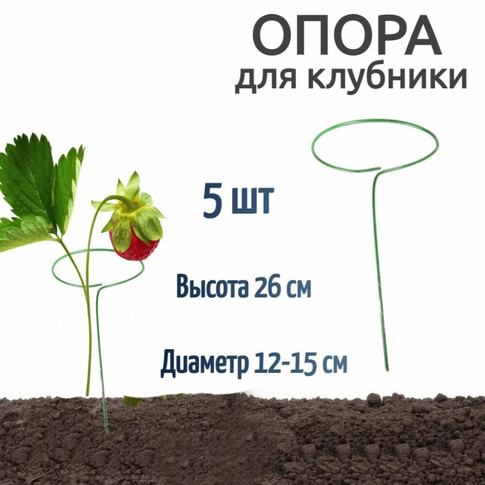 Набор кустодержателей для клубники 5 шт, d-15 см, h-26 см, металл, ПВХ, цвет зелёный. Облегчает полив и сбор урожая, препятствует слеживанию на земле