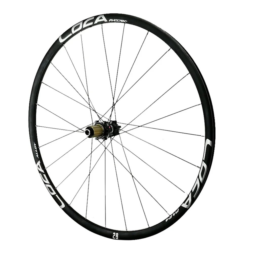 Колесо Pasak Mtb 26" черное, QR F9X100 R10X135