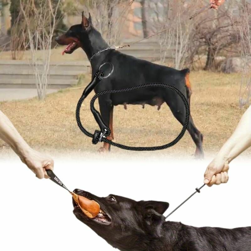 Универсальный и безопасный поводок с удавкой для тренировки собак, 55 см, для немецких овчарок и крупных пород