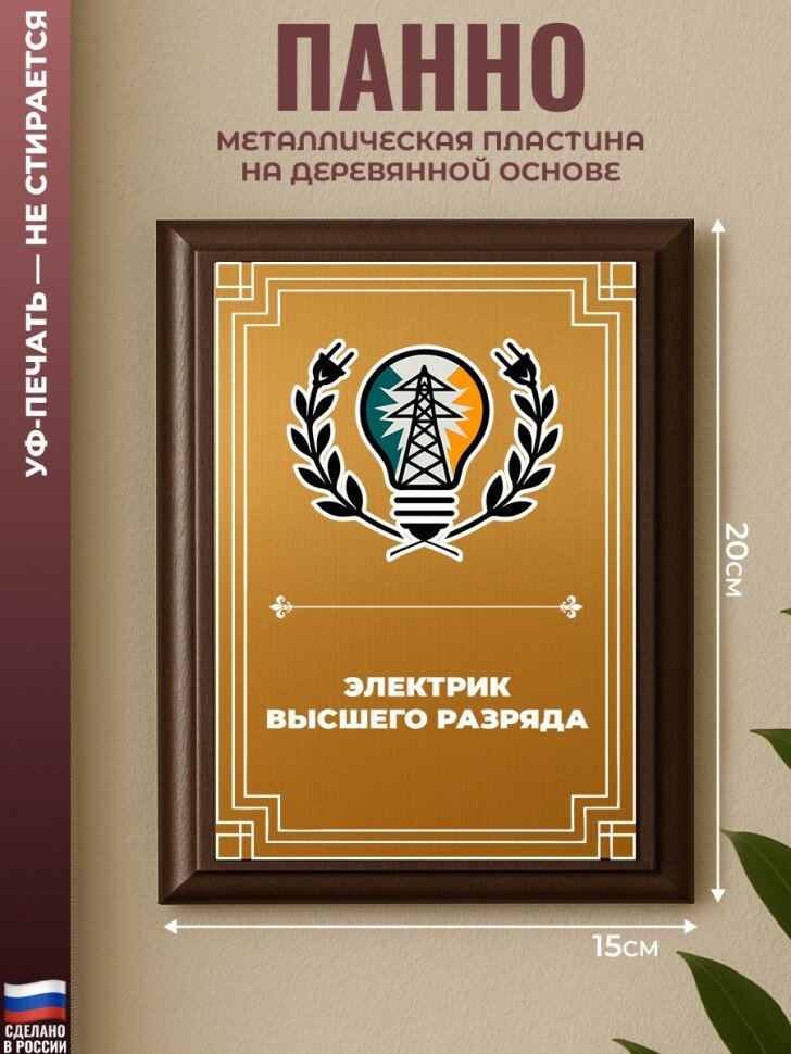 Настенный диплом "Электрик высшего разряда"