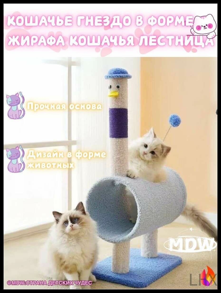 Когтеточка