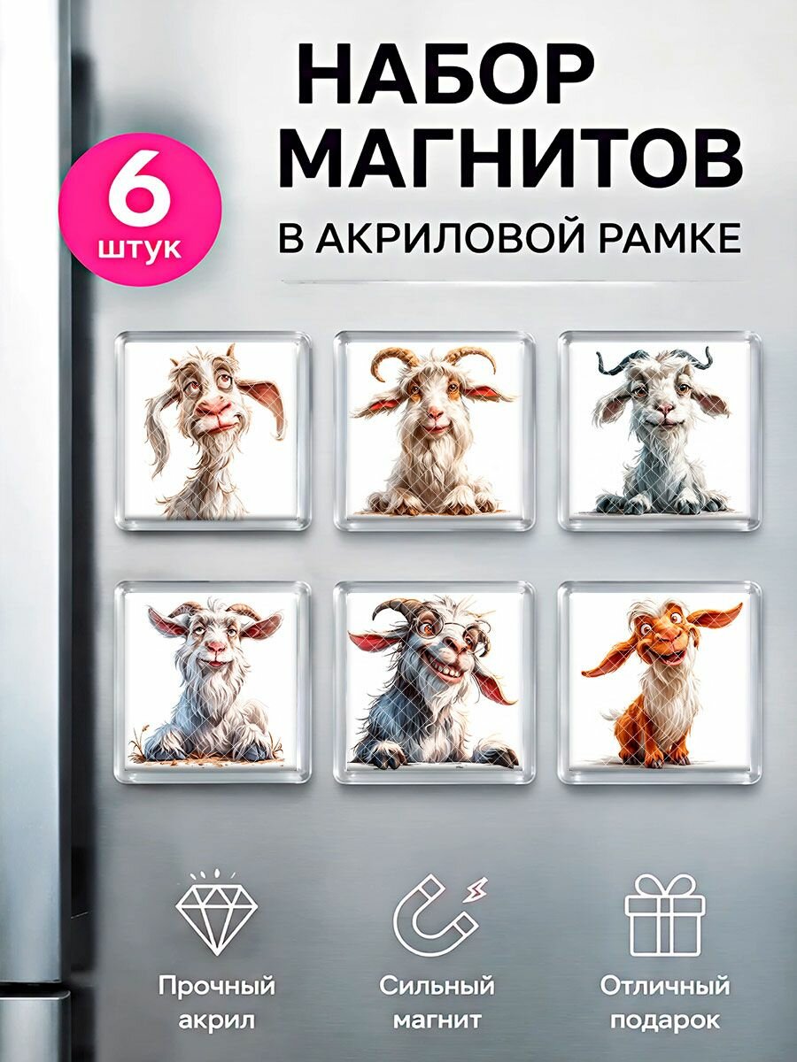 Магниты Символ года 2027, 6 штук