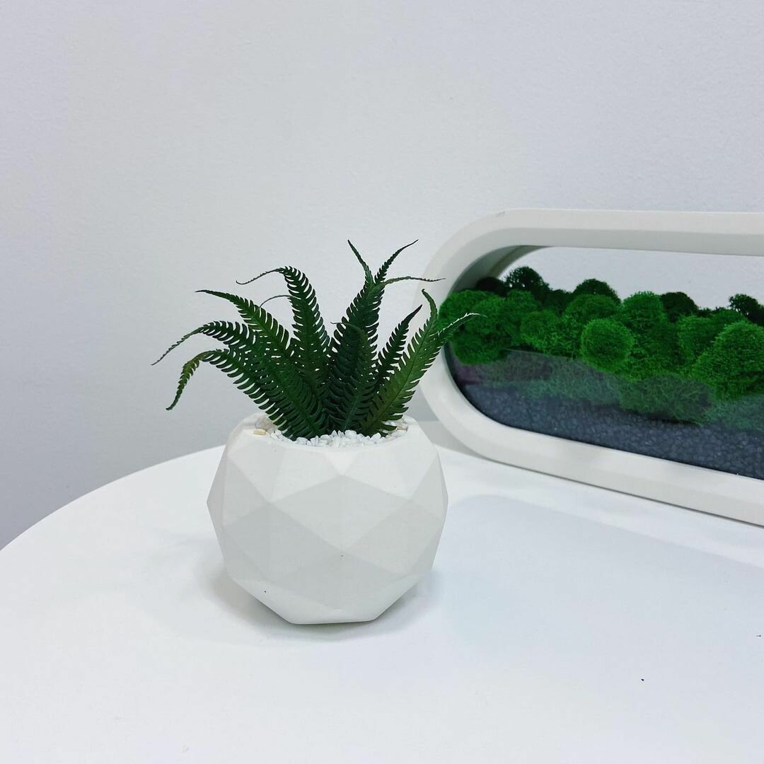 Кашпо из гипса 6,5х8,5 см