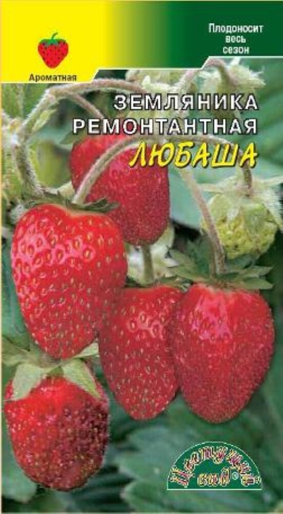 Семена Земляника Любаша альпийская ремонтантная 0.03г Ранние (Цветущий Сад)
