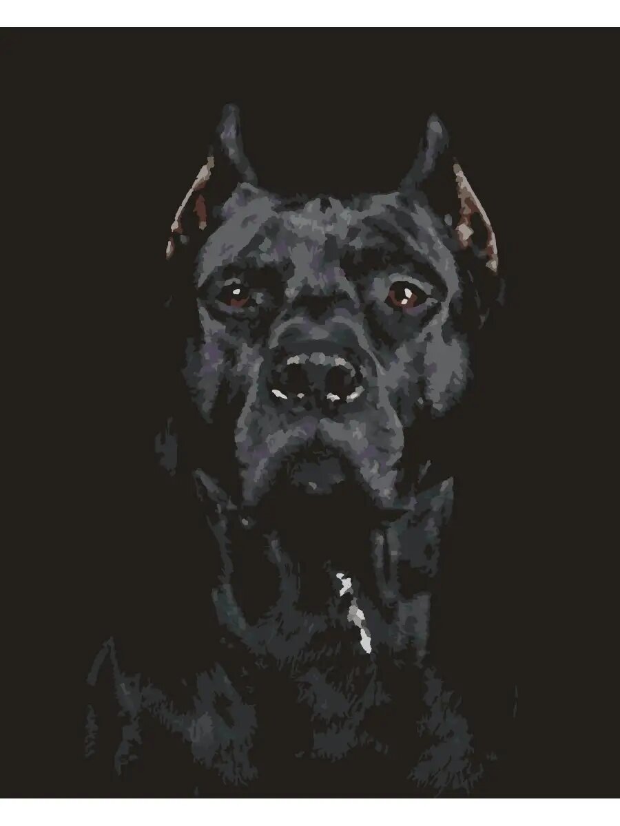 Картина по номерам "Собака Кане Корсо", 40 х 50 см, холст на подрамнике