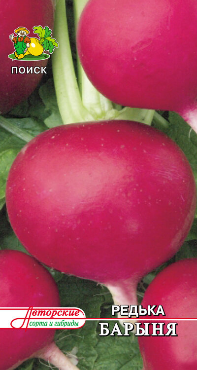 Редька Барыня 2гр. (авт. серия) (Поиск)