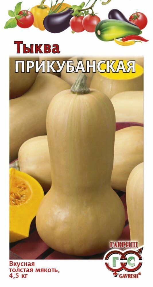 Семена Тыква Прикубанская мускатная 1г (Гавриш)