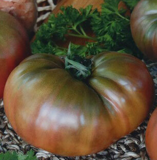 Семена томатов Шоколадобиф (0,1 гр.)