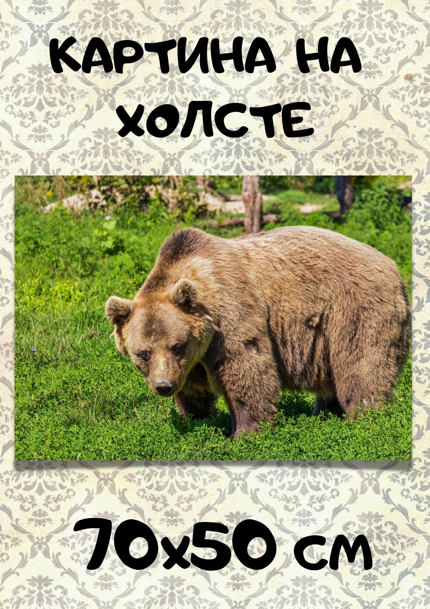 Картина с дикими животными "Бурый медведь" 70х50 см