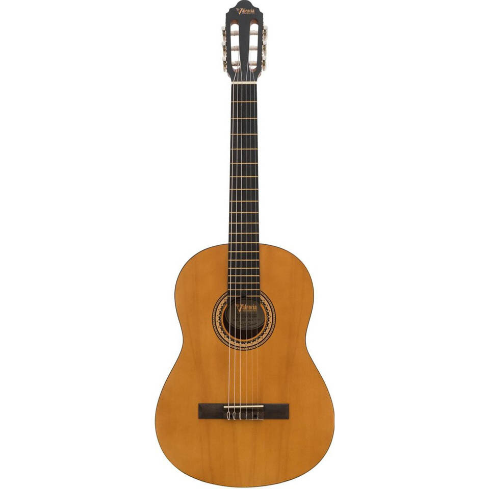 Классическая гитара Valencia VC204