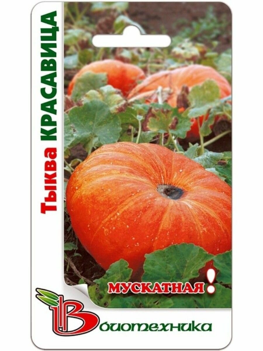 Семена Тыква Красная Баронесса