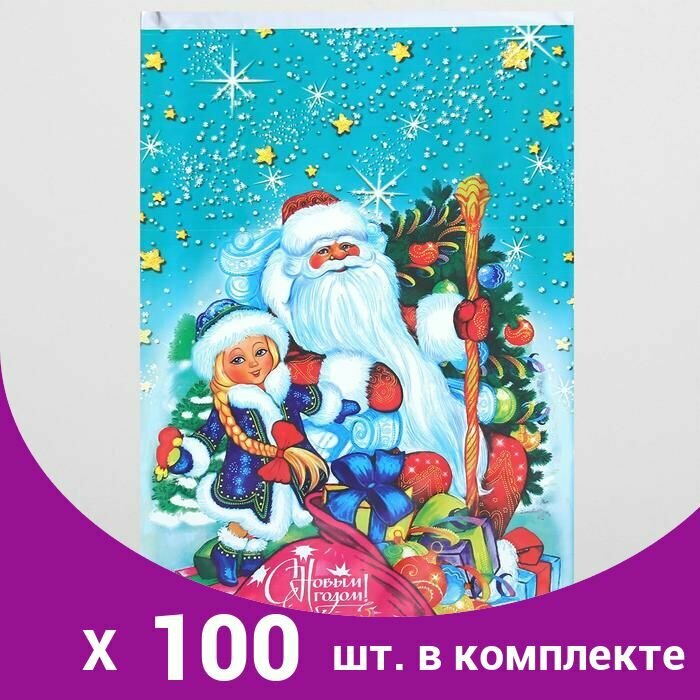 Пакет подарочный 'Мешок подарков', 25 х 40 см (100 шт)