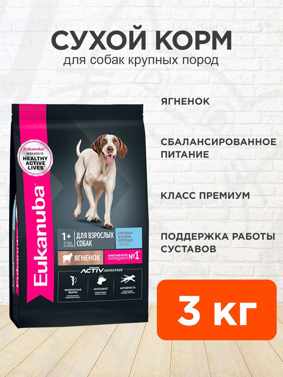 Корм сухой Eukanuba для взрослых собак крупных пород, ягненок, 3 кг