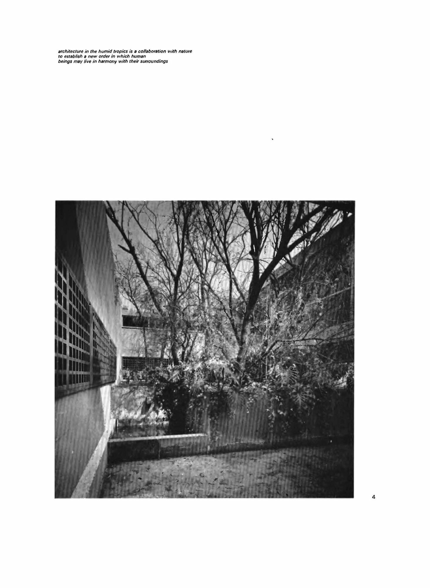 Tropical Architecture — фото 1