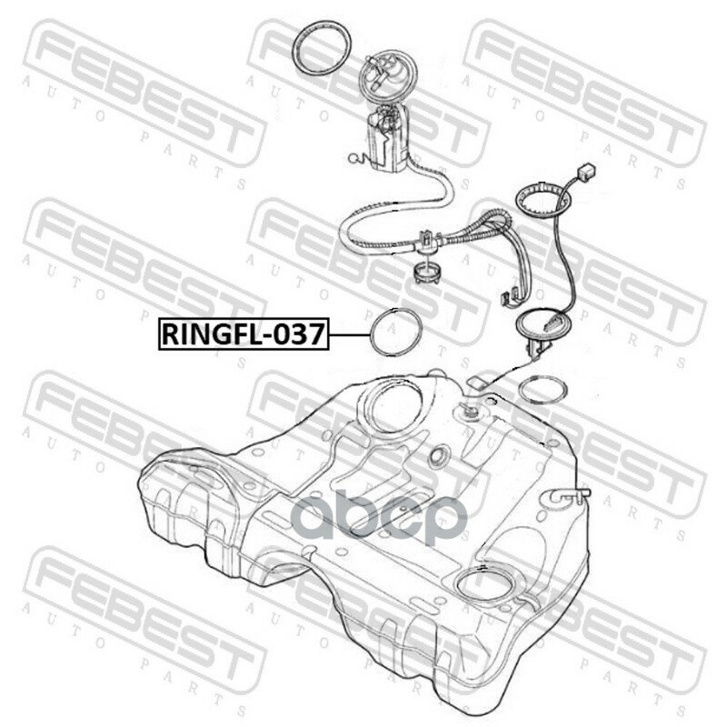 Кольцо уплотнительное топливного насоса VOLVO 03- RINGFL-037 Febest арт. RINGFL037 — фото 1