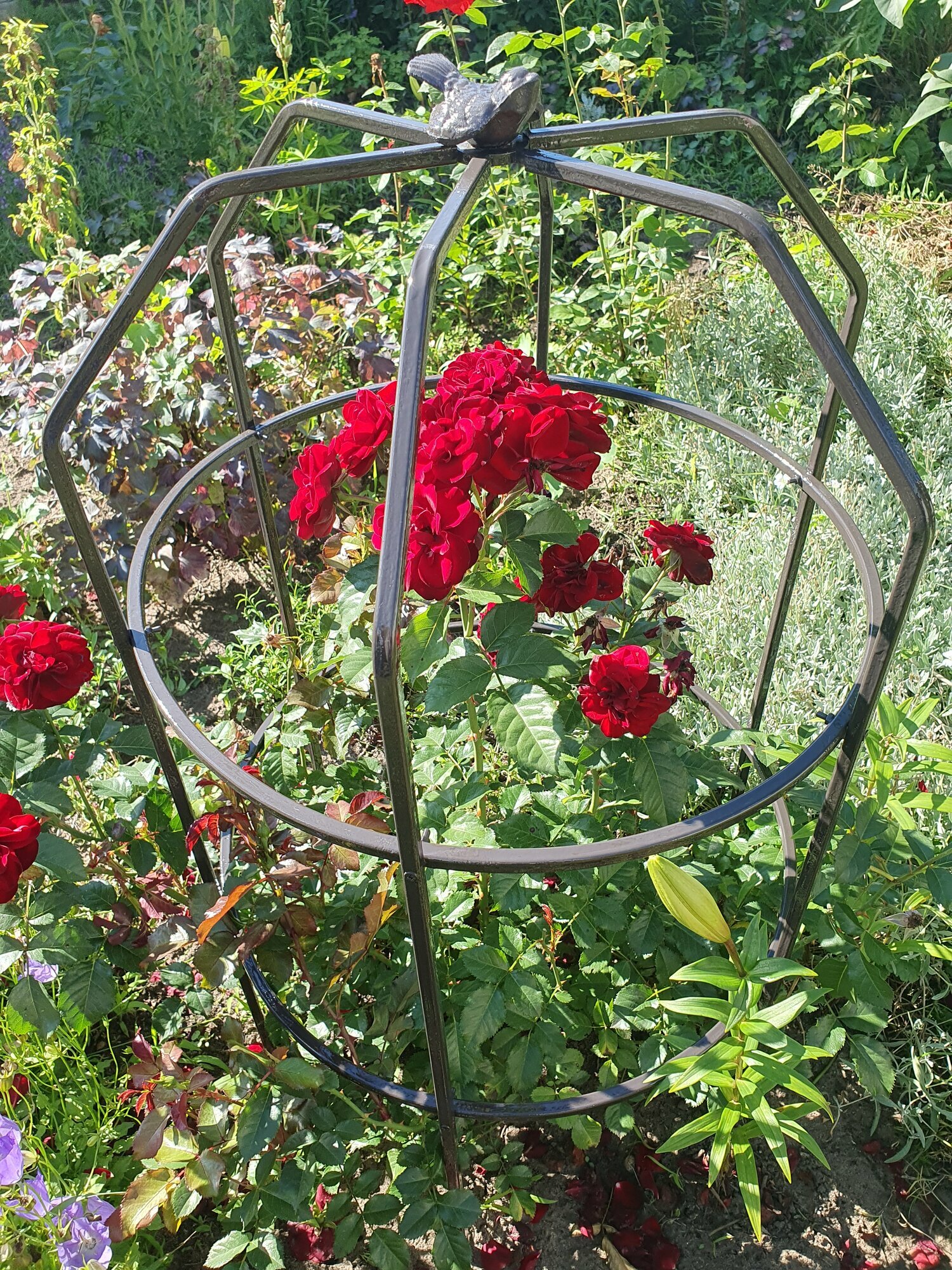Опора Клетка с птичкой для растений пионов и роз. Высота 87см, диаметр 55см. Не окрашена.