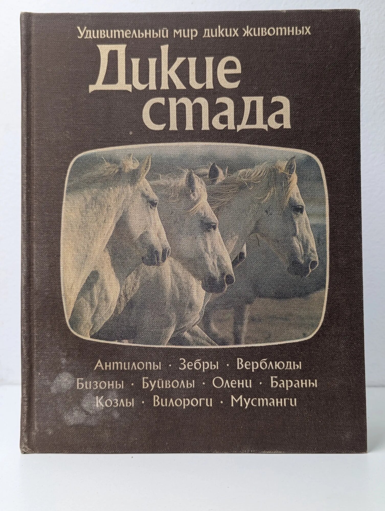 Дикие стада Нири Дж. 1984