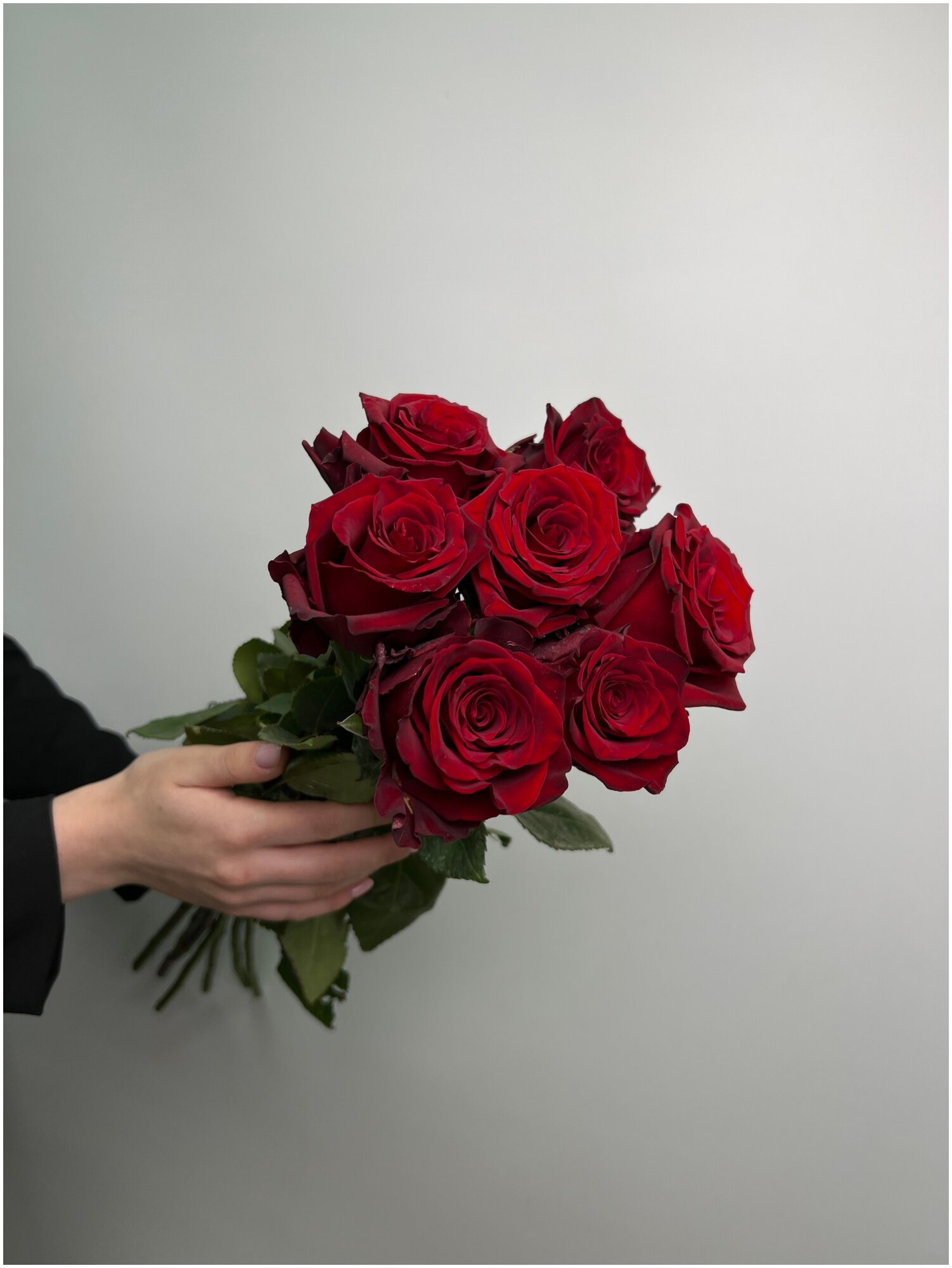 Букет цветов "Эксплорер" роза, 7 шт, красная, высота 70 см