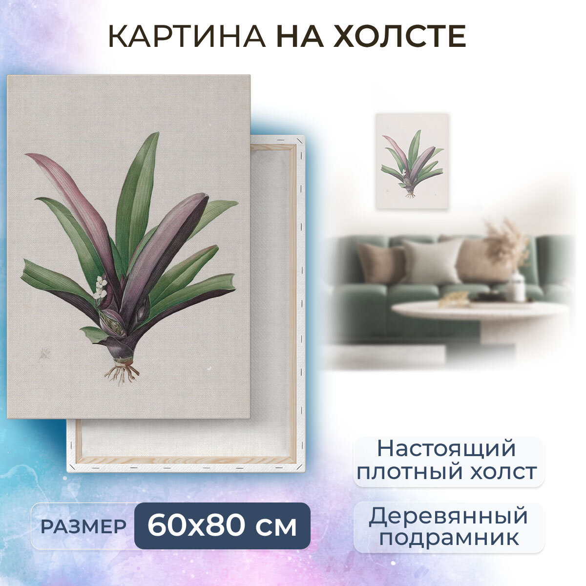 Картина на холсте с подрамником / Pierr - Joseph Redoute / Пьер-Жозеф Редуте