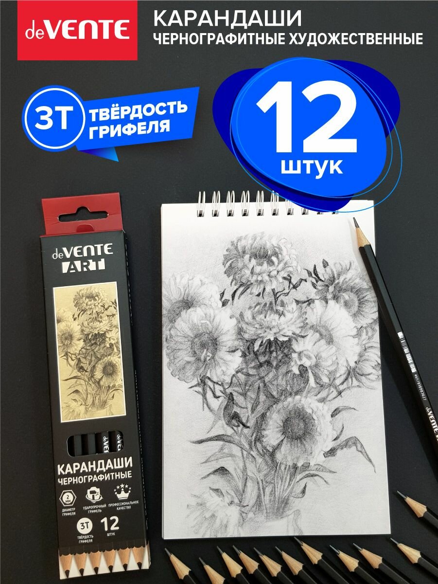 Карандаши простые твердостью 3Т художественные профессиональные чернографитные 12 шт.