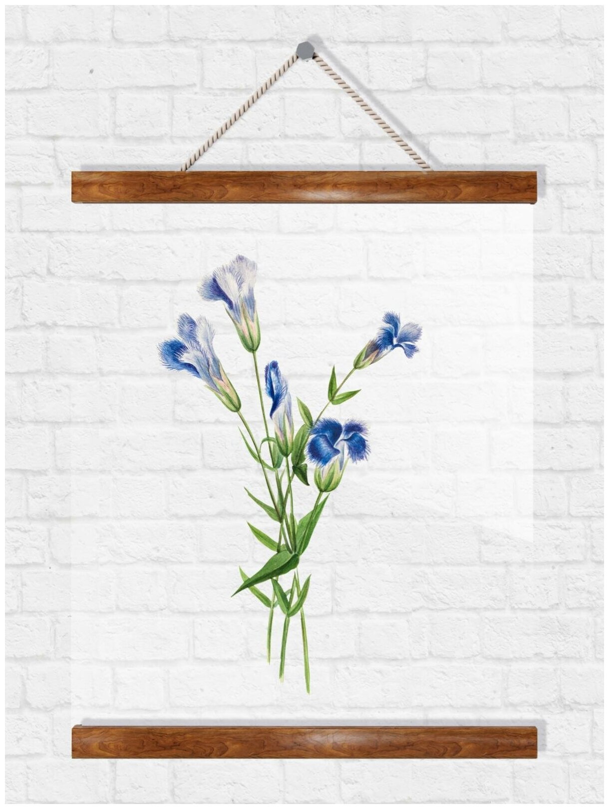 Постер / Плакат / Картина Прозрачный постер - Нежный букет цветущих васильков 60x90