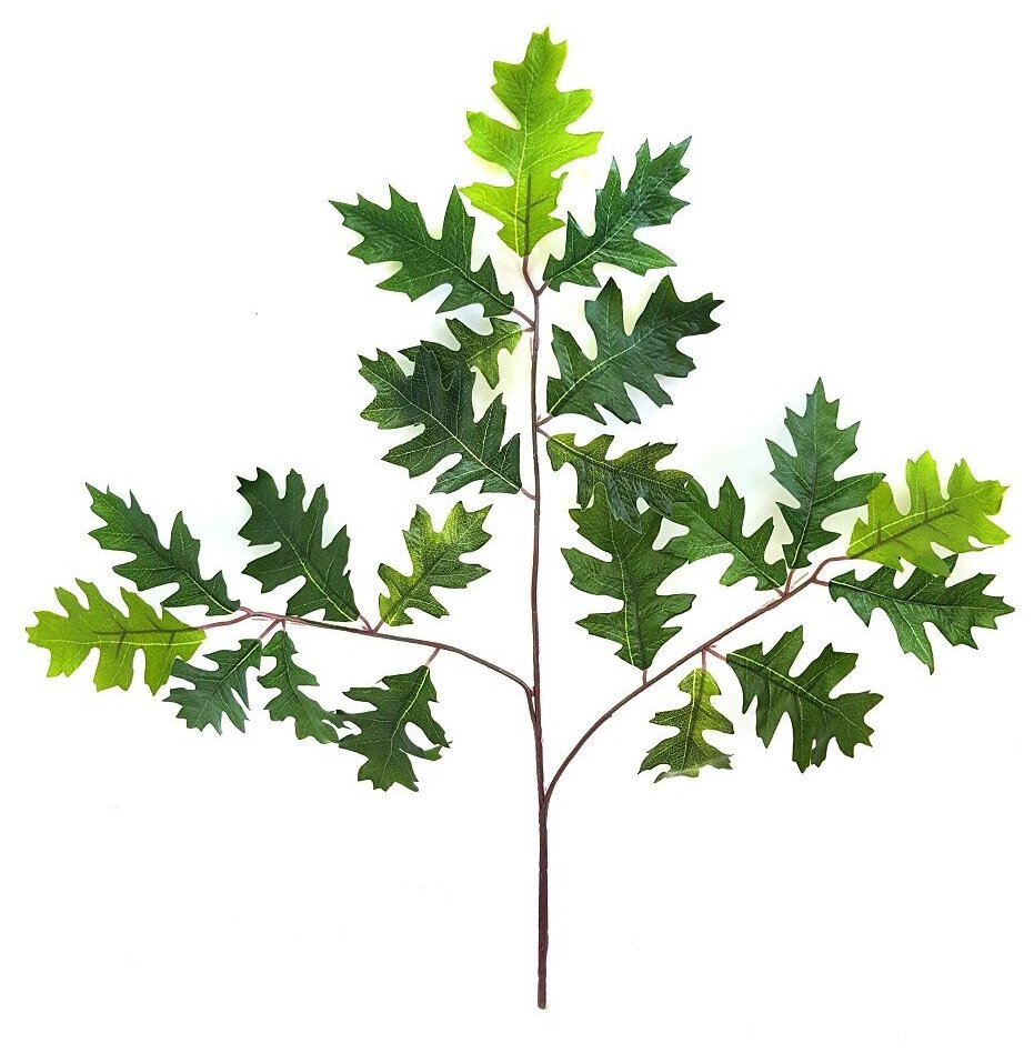 Искусственная ветка дуба Holodilova, декоративная, зеленая, 30x15x60 см