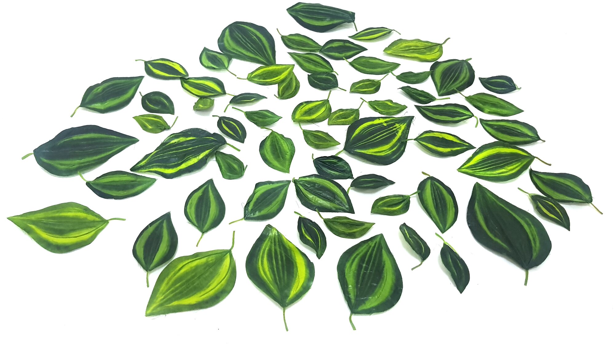 Искусственные листья от бренда Holodilova