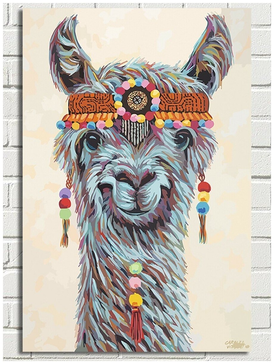 Картина по номерам Лама с повязкой (Альпака) - 8498 В 60x40