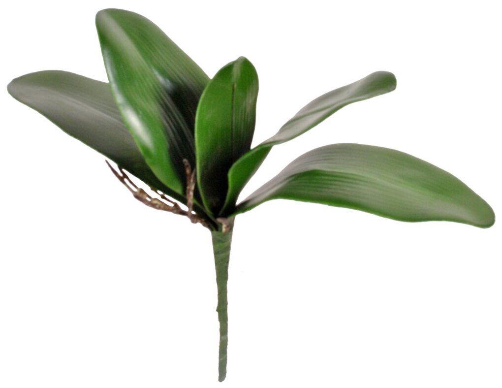 Искусственные листья Holodilova "Орхидея", латекс, высота 30 см