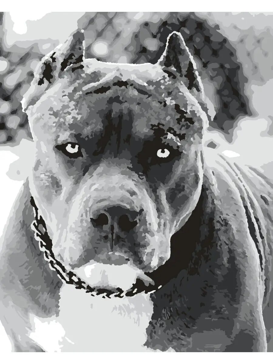 Картина по номерам Амстафф 40х50 см