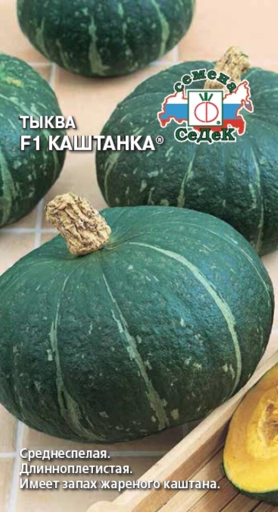 Цена за 10 пачек! Семена Тыква Каштанка F1 крупноплодная 1г (Седек)