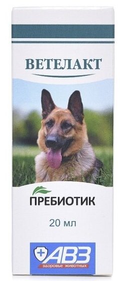 Пребиотик Авз (агроветзащита) Ветелакт для нормализации микрофлоры кишечника и оптимизации процессов пищеварения у животных 20 мл