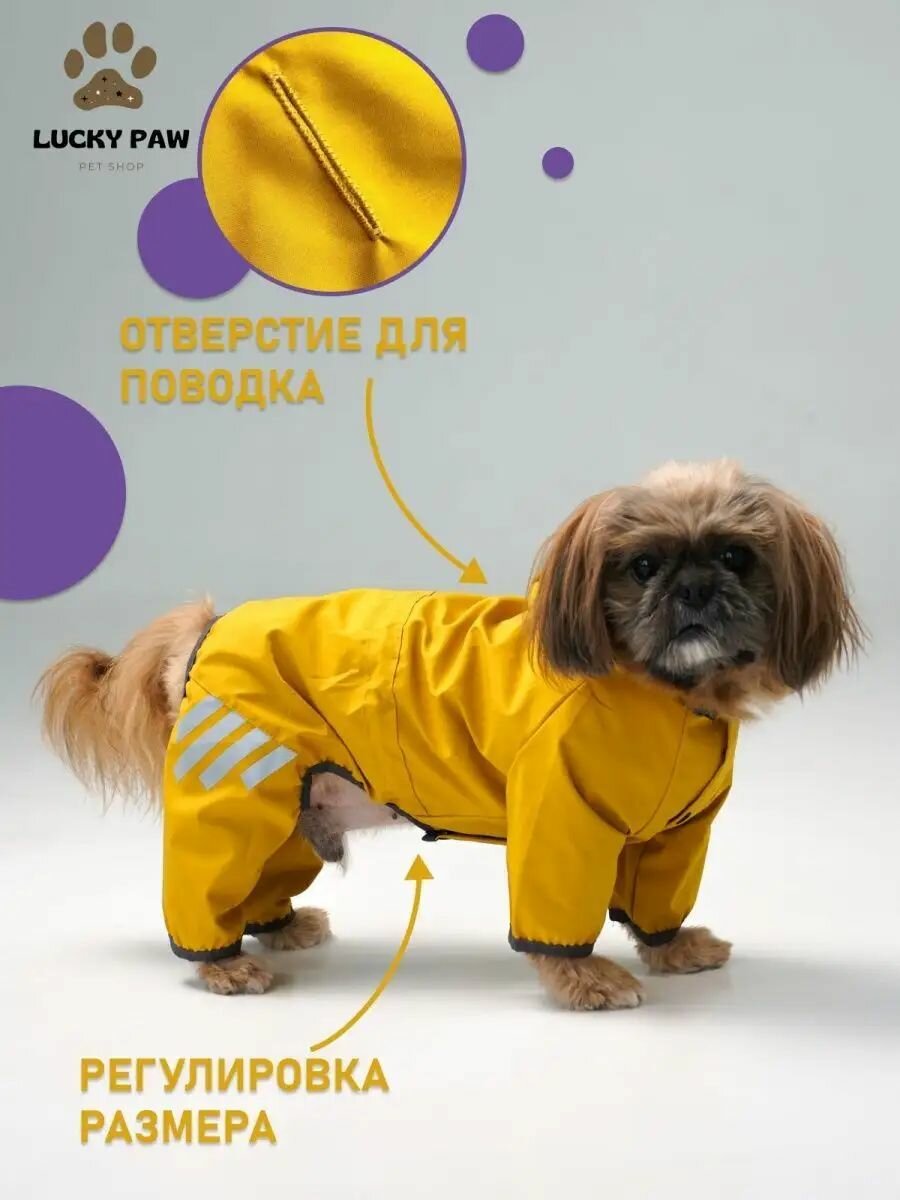 Одежда для животных — фото 1