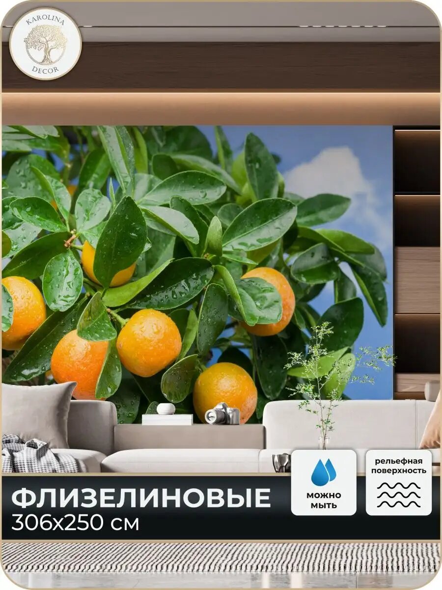Флизелиновые фотообои 3D Апельсины Фрукты 300х250