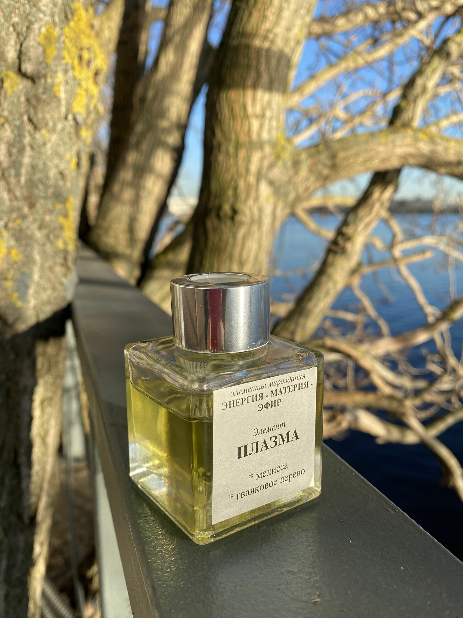Аромат-масло плазма, 60 мл, флакон-диффузор (без палочек)