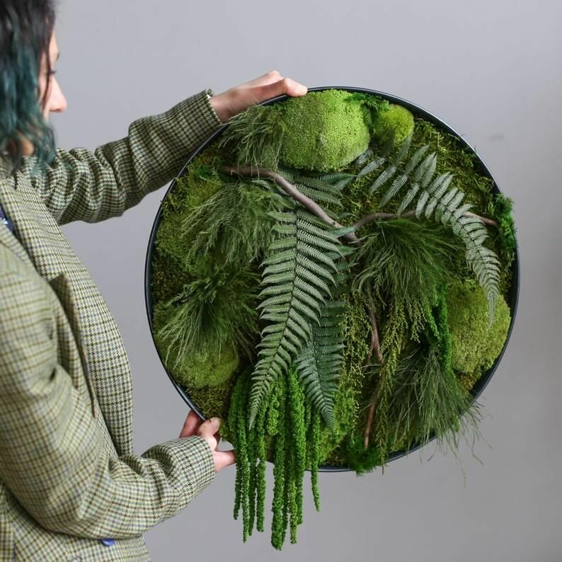 Панно из стабилизированного мха и растений 60 см