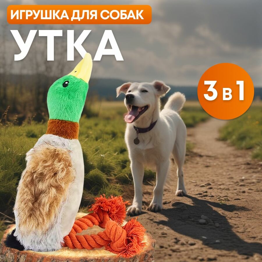 Игрушка для собак с пищалкой мягкая прочная утка дразнилка 3 в 1