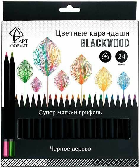 Набор цветных карандашей Каляка-Маляка ARTформат Blackwood, 24 цвета, трёхгранный корпус, дерево