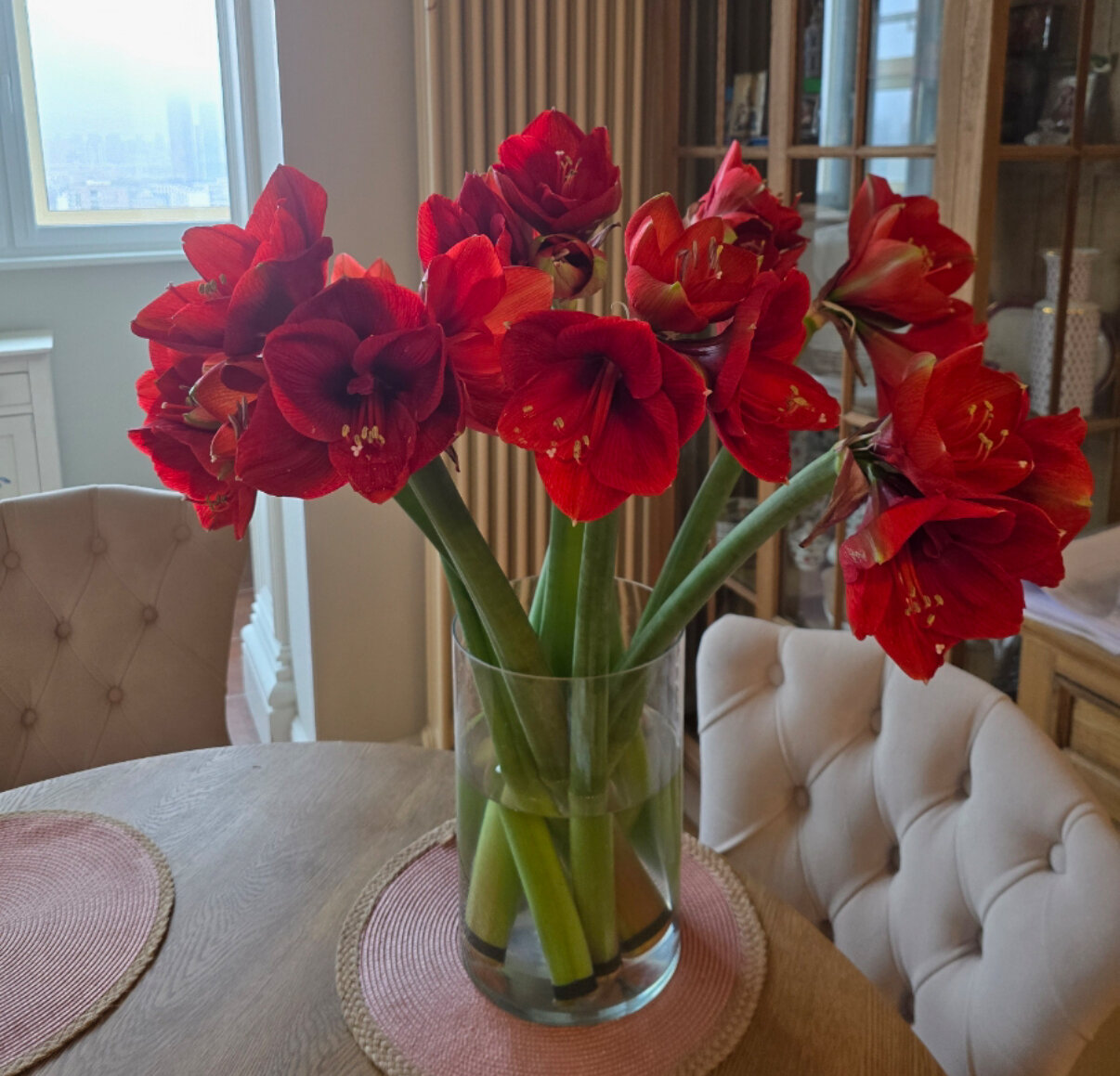 11 красных амариллисов в вазе