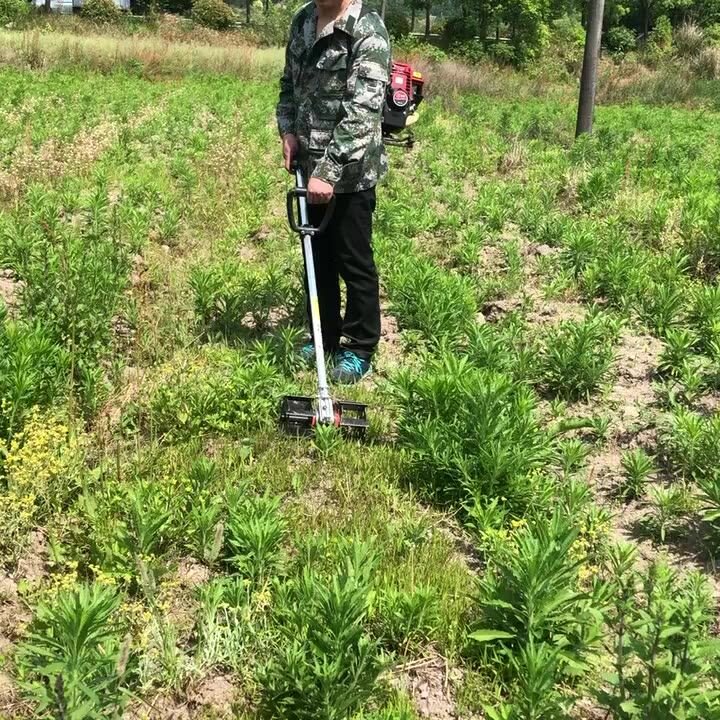 Насадка культиватор для бензокосы 3в1 Культиватор, окучник, пропольник. Подходит для триммера со штангой 28мм 9Т Sakura QYGC-554