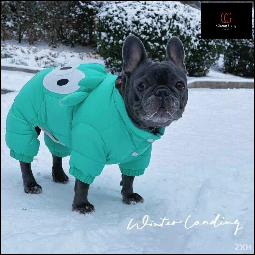 Эксклюзивная зимняя коллекция для питомцев представлена теплыми курткамипуховиками для французских бульдогов, уютными толстовками для тайничков, а также моделями для тедди и кокерспаниелей в размерах малых и средних пород