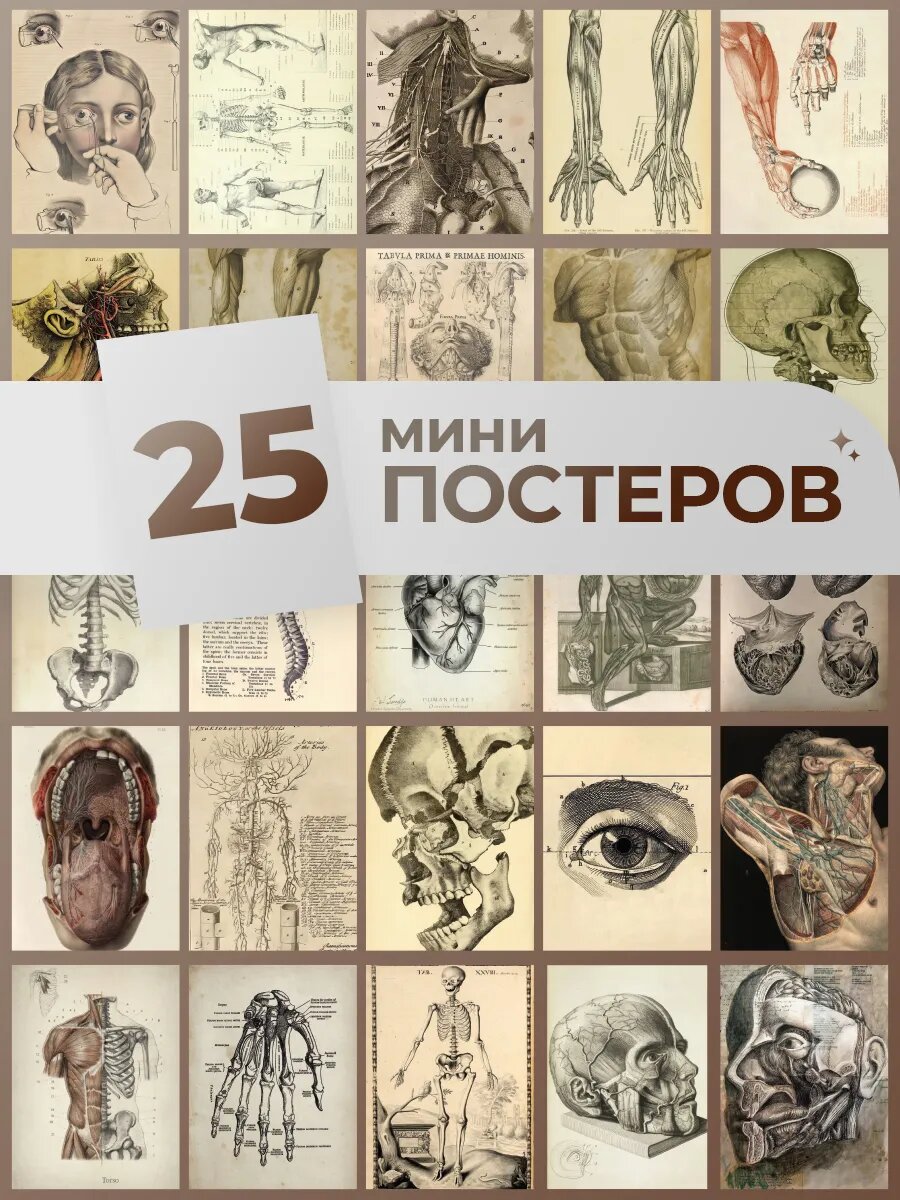 Анатомия винтаж постеры медицинские ретро