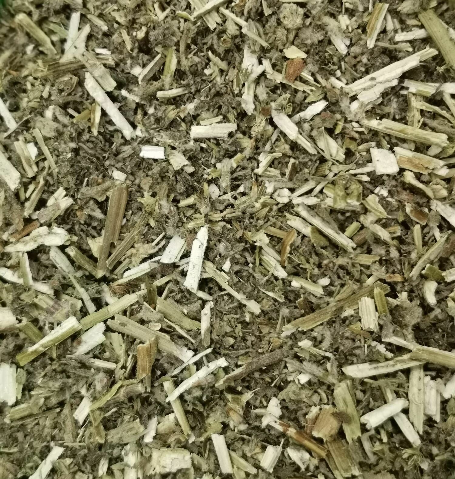 Пустырник трава резаная 500г KINGSPICE