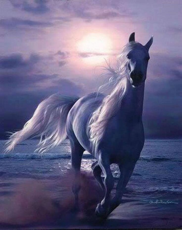 Картина по номерам масляными красками на подрамнике и подложке. Лошадь 2.