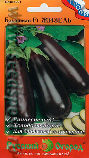 Баклажан Жизель F1 35шт. (НК)