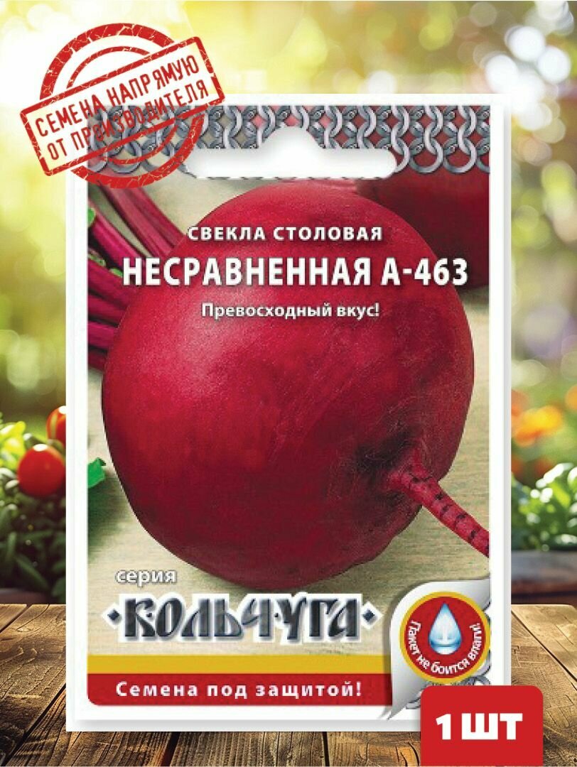 Семена Свекла Несравненная А 463 "Кольчуга NEW"